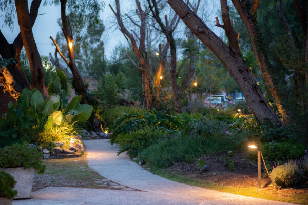 PARQUE NORTE – Eventos