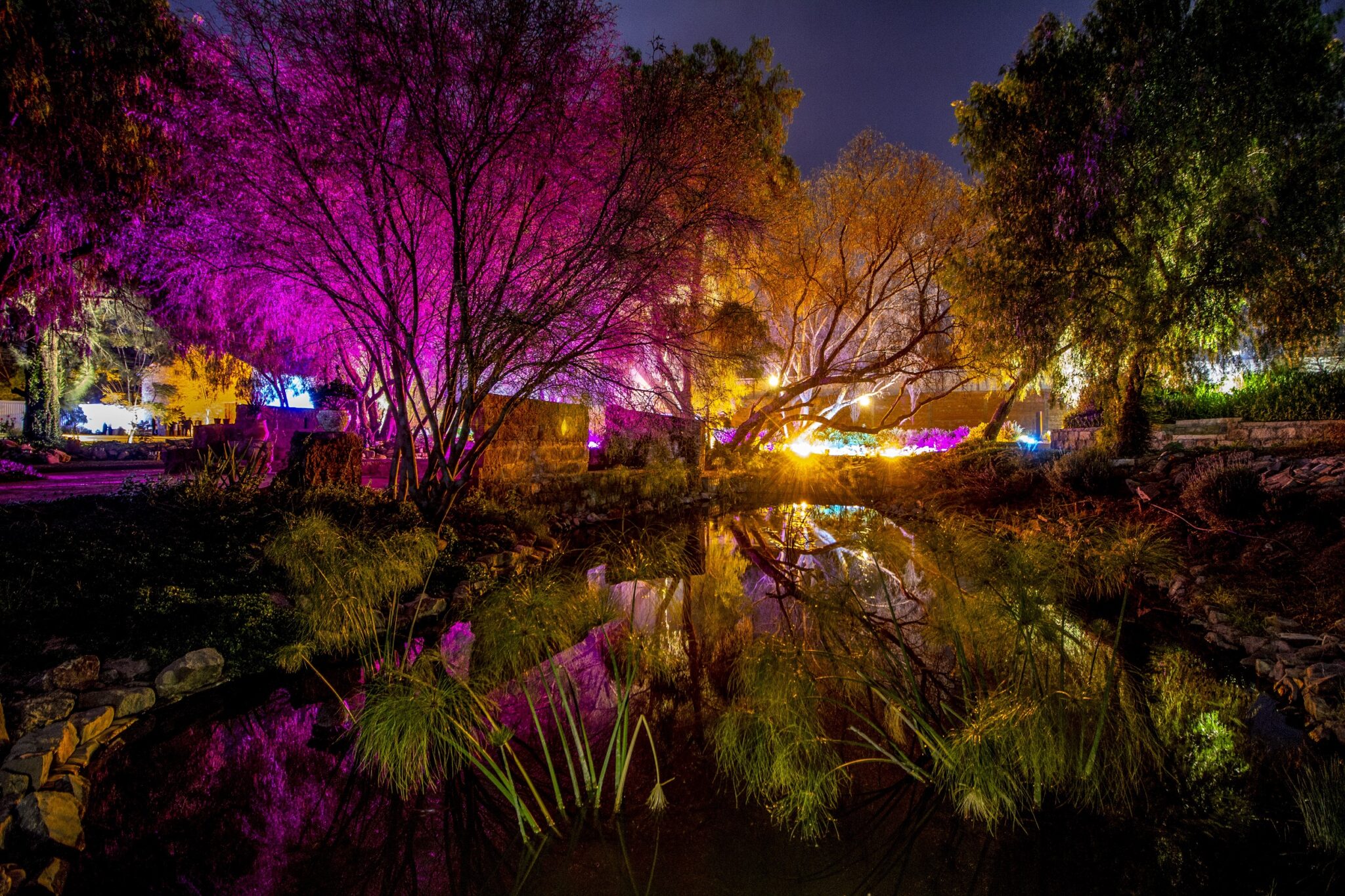 PARQUE NORTE – Eventos
